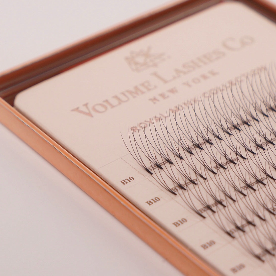 Pre-Made Volume Fans – Volume Lashes Co